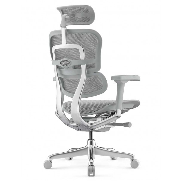 Кресло ERGOHUMAN ELITE 2 (EHE2-AG-HAM-5D-L, сетка T-168-B2 Natural ...