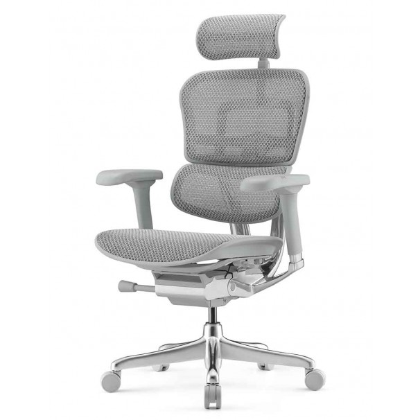 Кресло ERGOHUMAN ELITE 2 (EHE2-AG-HAM-5D-L, сетка T-168-B2 Natural ...